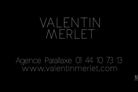 VALENTIN MERLET- Fiche Artiste - Artiste interprète ...
