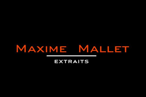 Maxime MALLET- Fiche Artiste - Artiste interprète - AgencesArtistiques ...