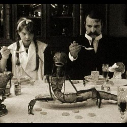 Adrien Beau- Fiche Artiste - Réalisateur,Scénariste ...